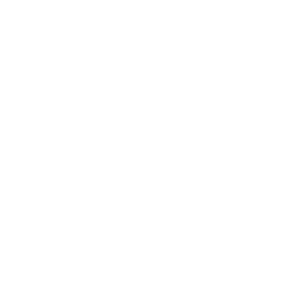 Blancco File Eraser - Protetco, Business Partner Blancco.